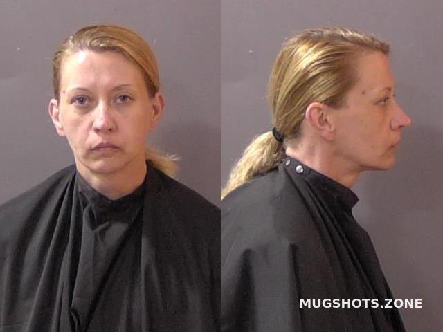 LOWE SUZZANNE MICHELLE 01/18/2024 - Hamilton County Mugshots Zone