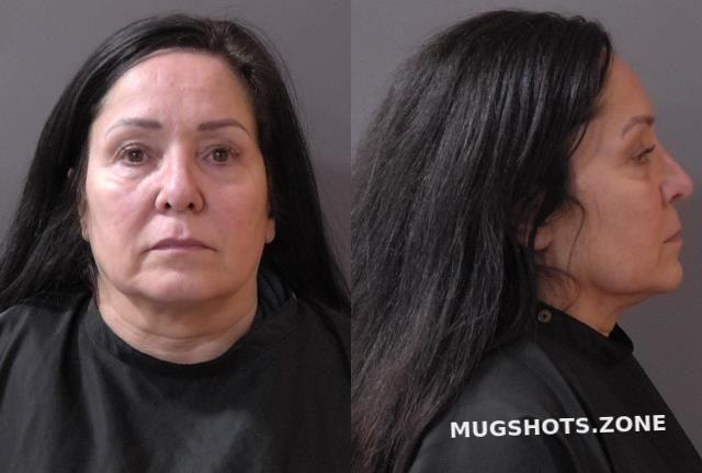 HINE TAMARA MICHELE 01/24/2024 - Hamilton County Mugshots Zone