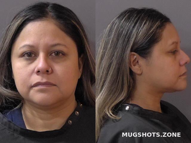 LOZA CYNTHIA NMN 03/28/2024 - Hamilton County Mugshots Zone