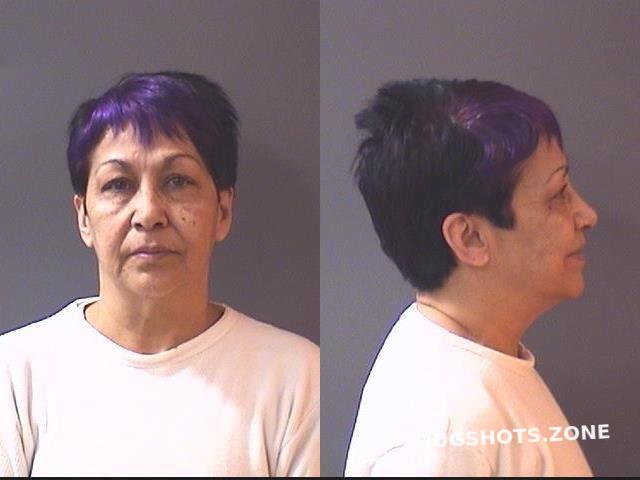 SWAIM SUSAN MARIE 04/19/2024 - Hamilton County Mugshots Zone