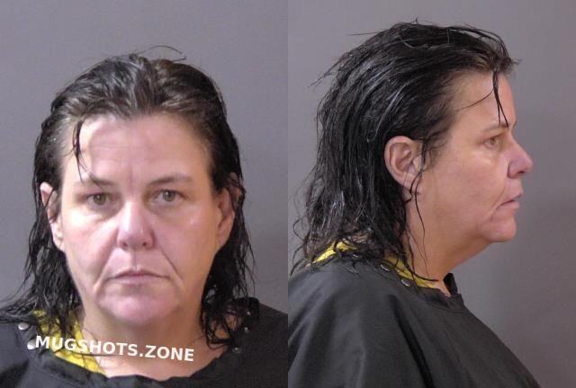 LOWE MICHELE LYNN 04/20/2024 - Hamilton County Mugshots Zone