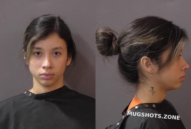 RANGEL-ROJAS ENDERLY NMN 06/17/2024 - Hamilton County Mugshots Zone