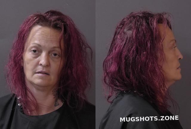 HAMMONS MICHELLE RENEE 07/16/2024 - Hamilton County Mugshots Zone