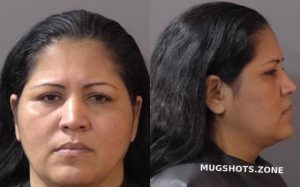 MATA AMALIA MARIA 08/13/2024 - Hamilton County Mugshots Zone