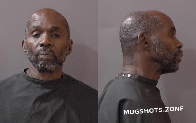 JOHNSON SHANDRA NMN JUNIOR 10/10/2024 - Hamilton County Mugshots Zone