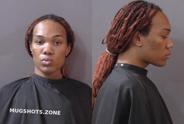 ROBINSON CARTER LEE 01/02/2025 - Hamilton County Mugshots Zone