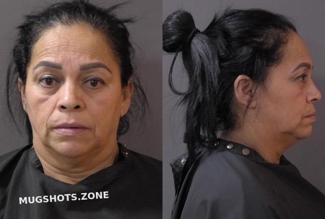 ROJAS SANCHEZ MARIA JOSEFA 01/31/2025 - Hamilton County Mugshots Zone