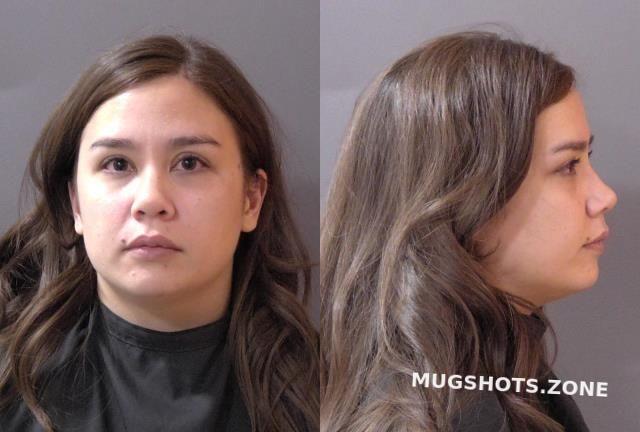 DAVIS MICHELLE NMN 02/08/2025 - Hamilton County Mugshots Zone