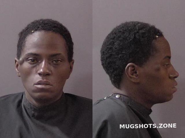 BREWER SHANEKA SHANEE 03/25/2025 - Hamilton County Mugshots Zone