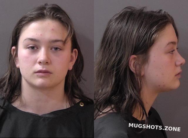 FITZPATRICK MEGAN ROSE 03/27/2025 - Hamilton County Mugshots Zone