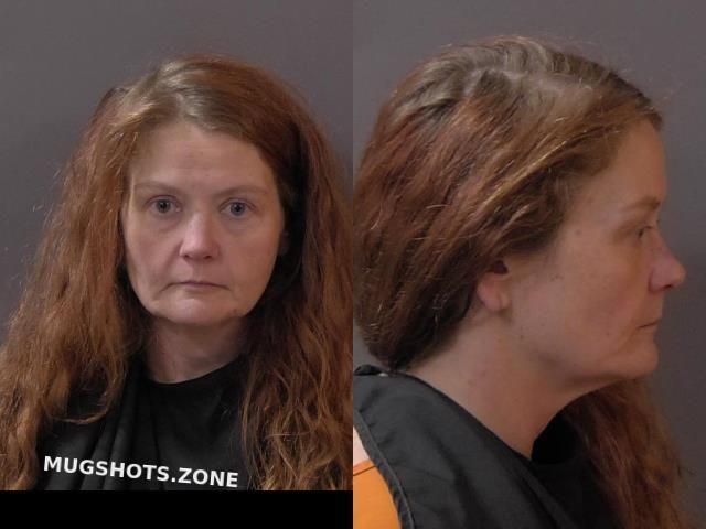 REDDING MICHELLE LEE 04/02/2025 - Hamilton County Mugshots Zone