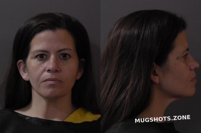 WILLOUGHBY CRYSLIA AMBER 04/16/2025 - Hamilton County Mugshots Zone