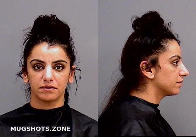 SAYYAH FARAH MOHAMMED 04/16/2025 - Hamilton County Mugshots Zone