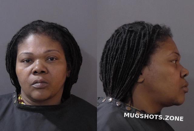 HAYES TAMURA MICHELLE 05/12/2025 - Hamilton County Mugshots Zone