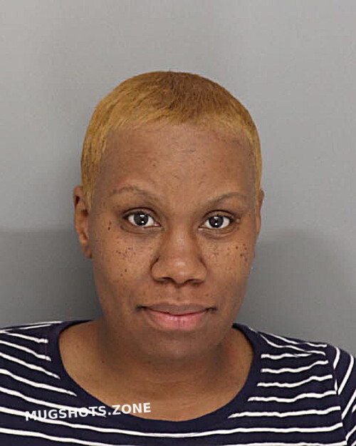 JOHNSON ASHLEY 03/13/2023 - Hamilton County Mugshots Zone