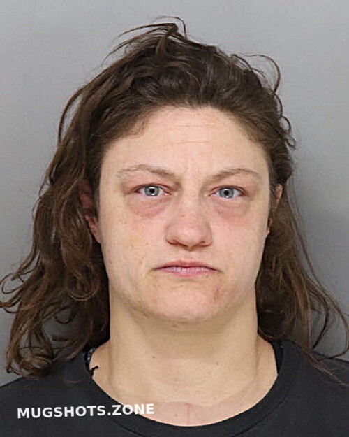 STRAUSS STACI 03/14/2023 - Hamilton County Mugshots Zone