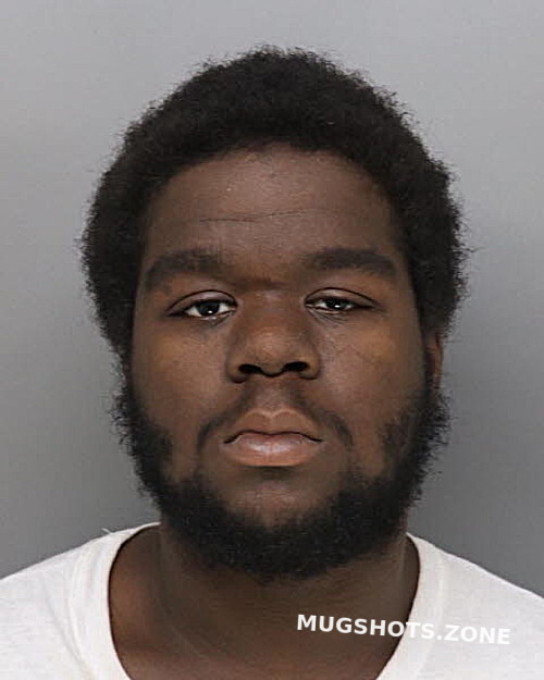 RAY ANGELO 03/14/2023 - Hamilton County Mugshots Zone