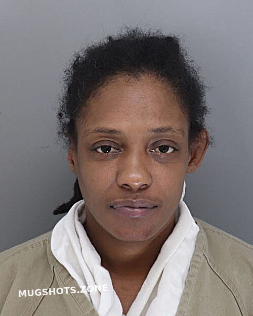 SPURLING STEPHANIE 03/26/2023 - Hamilton County Mugshots Zone