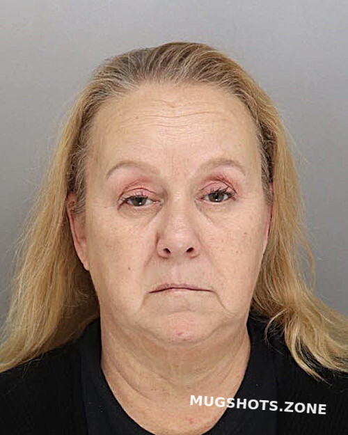 NEWCOMER KELLY 04/03/2023 - Hamilton County Mugshots Zone