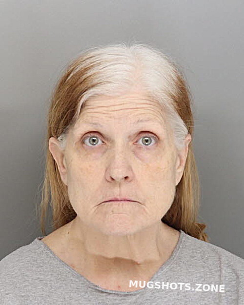 MORRISON SUSAN 04/06/2023 - Hamilton County Mugshots Zone