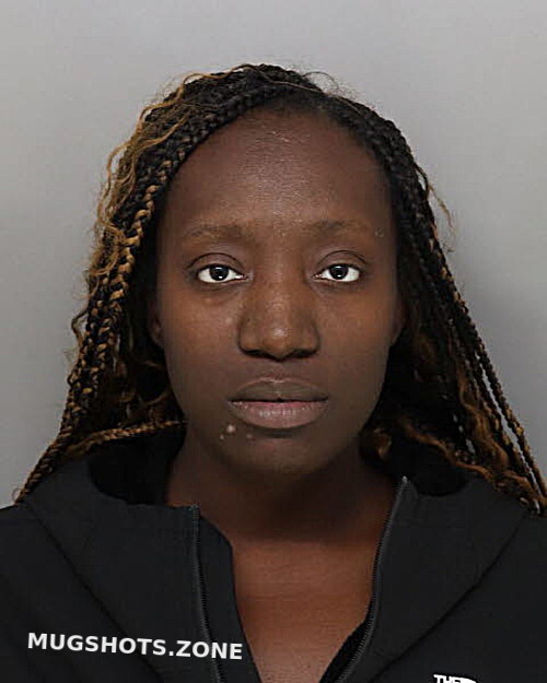 ROSS DANITA 04/07/2023 - Hamilton County Mugshots Zone