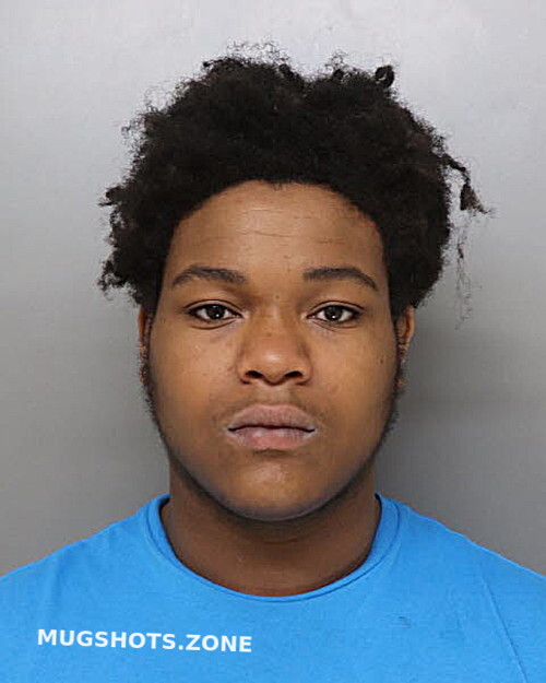 TURNER TERRANCE 04/12/2023 - Hamilton County Mugshots Zone