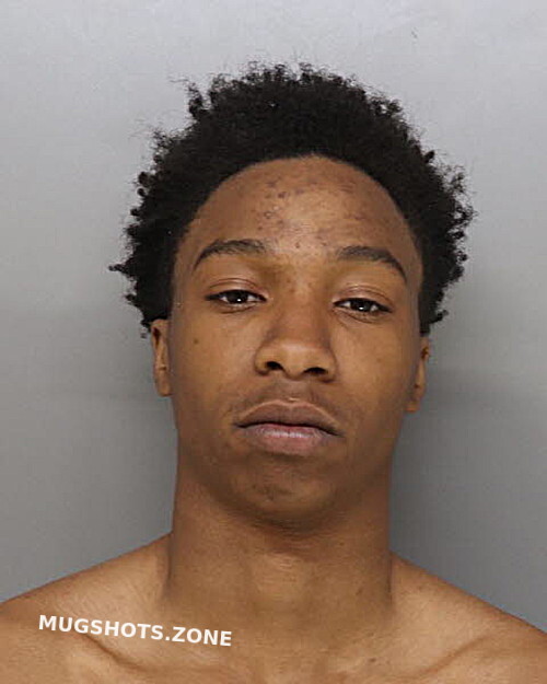 WHITEHEAD DEMETRIUS 04/15/2023 - Hamilton County Mugshots Zone
