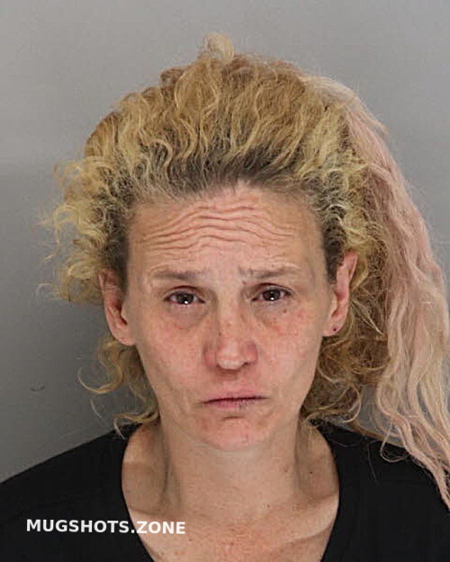 YOUNG TAMMY 04/20/2023 - Hamilton County Mugshots Zone YOUNG TAMMY 04/20/2023 - Hamilton County Mugshots Zone