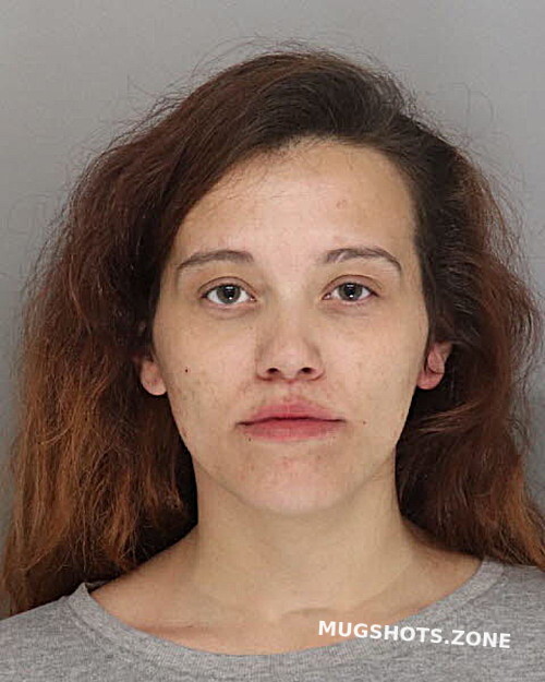 WEBSTER KRYSTAL 04/22/2023 - Hamilton County Mugshots Zone