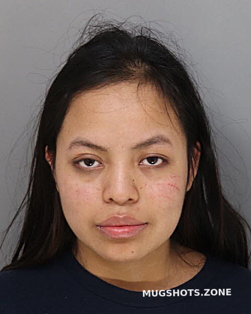 MENDEZ SANDRA 04/24/2023 - Hamilton County Mugshots Zone