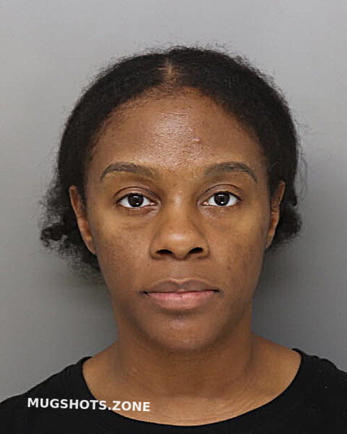 SMITH PRINCESS 04/24/2023 - Hamilton County Mugshots Zone