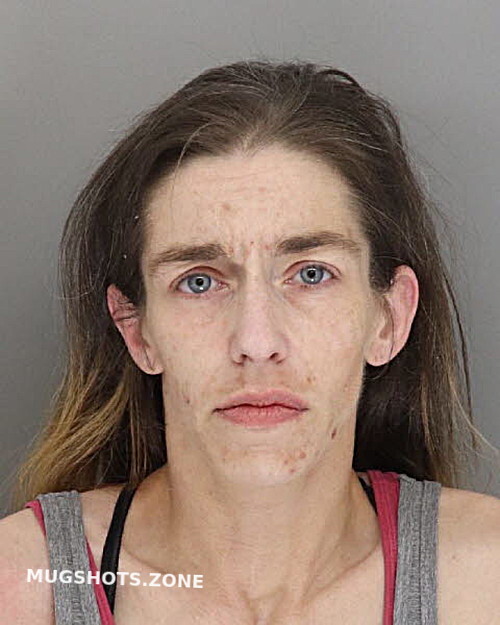 WOOD MEGAN 05/01/2023 - Hamilton County Mugshots Zone