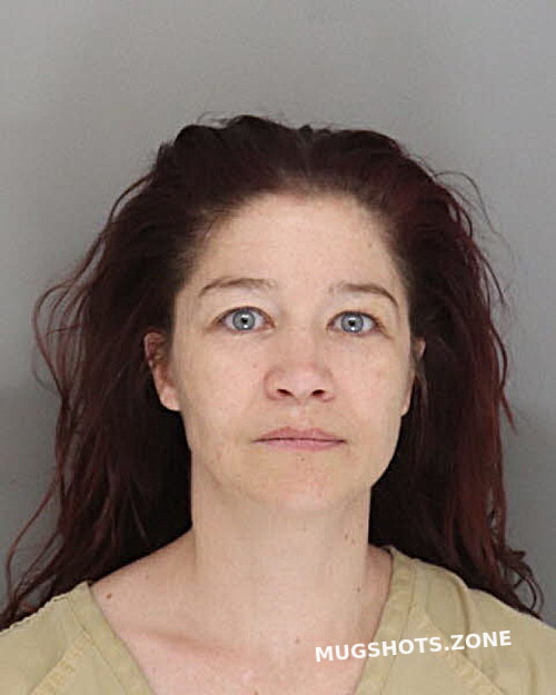 SHANNON ANNETTE 05/25/2023 - Hamilton County Mugshots Zone