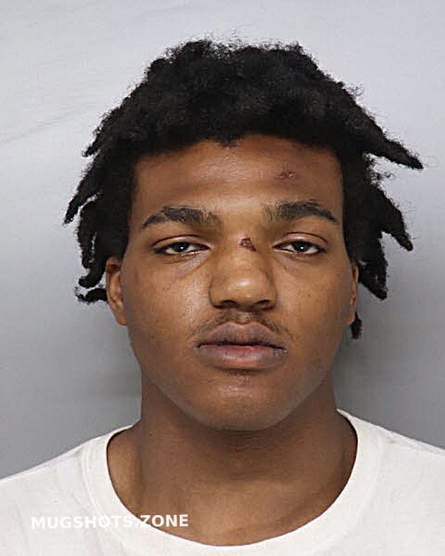 WILLIAMS MYZEL 05/25/2023 - Hamilton County Mugshots Zone