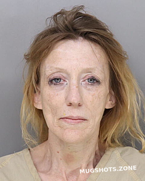 WILSON MANDY 06/01/2023 - Hamilton County Mugshots Zone