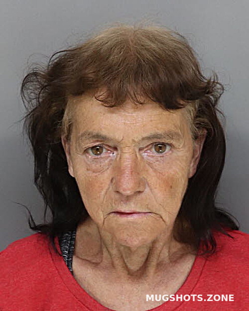 OGLE PATRICIA 06/03/2023 - Hamilton County Mugshots Zone