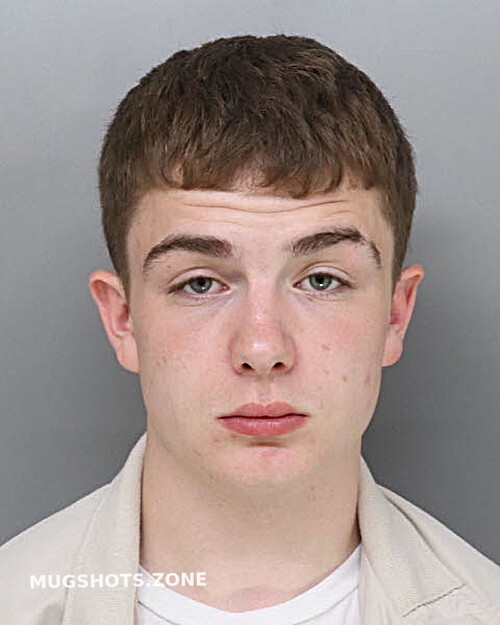 MINK REECE 06/06/2023 - Hamilton County Mugshots Zone