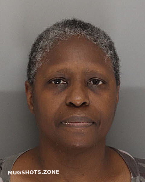 LEWIS DEBORAH 06/10/2023 - Hamilton County Mugshots Zone