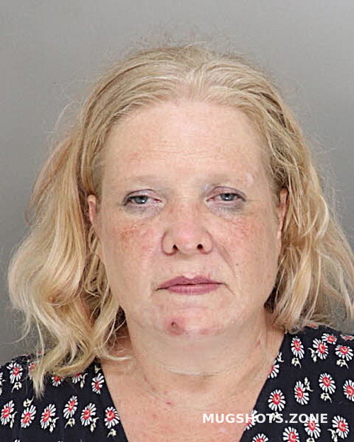 EVERSOLE MICHELLE 07/09/2023 - Hamilton County Mugshots Zone