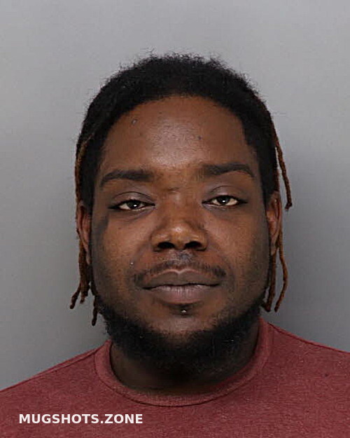 RAMSEY LASHAWN 07/13/2023 - Hamilton County Mugshots Zone