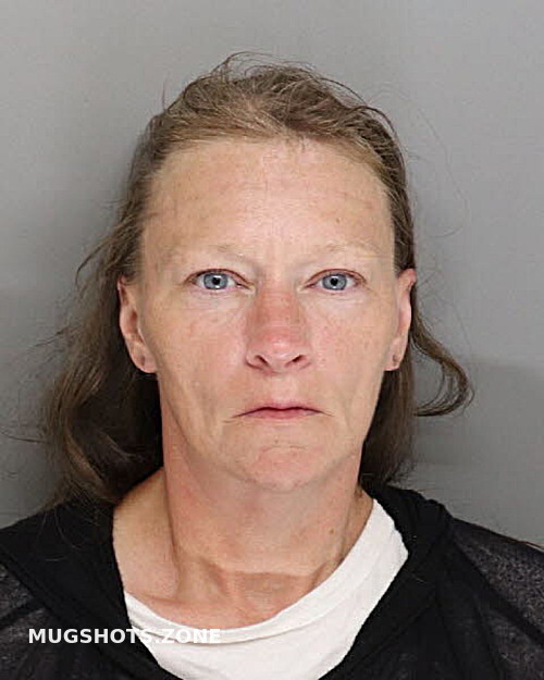 PERKINS DENISE 07/19/2023 - Hamilton County Mugshots Zone