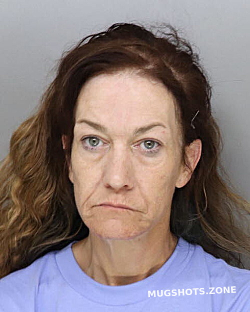 GRAY LISA 07/20/2023 - Hamilton County Mugshots Zone