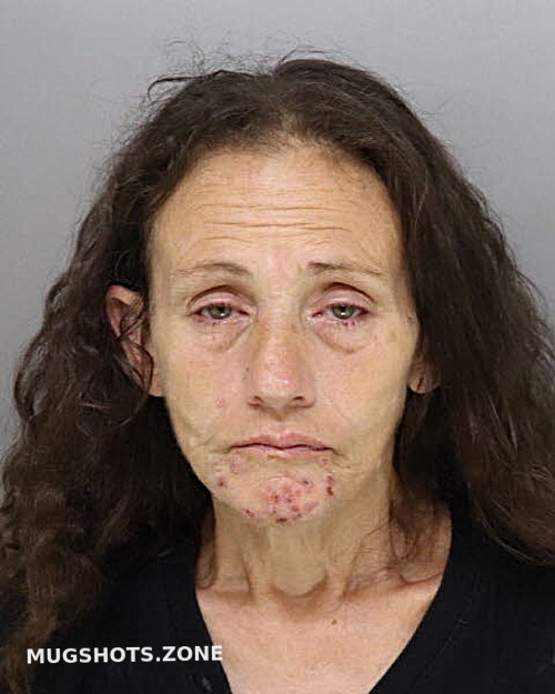 CLARK SHARON 07/21/2023 - Hamilton County Mugshots Zone