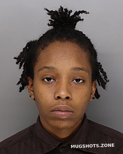 EARLS PRINCESS 08/03/2023 - Hamilton County Mugshots Zone