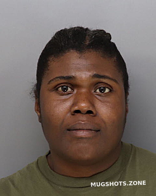 EVERETT TRACI 08/09/2023 - Hamilton County Mugshots Zone