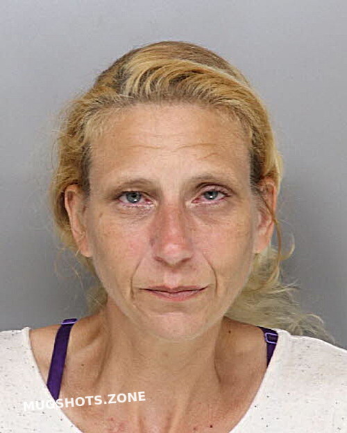 DWYER ELIZABETH 08/11/2023 - Hamilton County Mugshots Zone