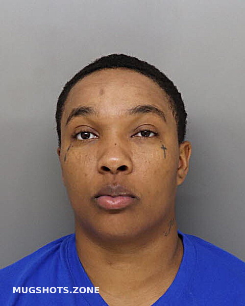 SULLIVAN TIANA 08/14/2023 - Hamilton County Mugshots Zone