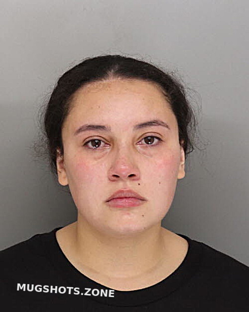 JACKSON DIANA 08/25/2023 - Hamilton County Mugshots Zone