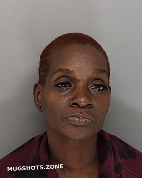 WHITE RHONDA 10/15/2023 - Hamilton County Mugshots Zone