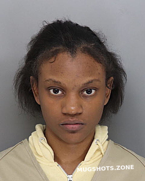 HARMON DANIELLE 10/19/2023 - Hamilton County Mugshots Zone